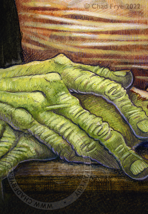 Illustration – The Chad Frye – Illustration Guy